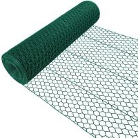China Poultry Netting 12