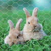 China Galvanised Iron Chicken BWG18 Wire Mesh Hexagonal Pvc Normal Twisted for sale