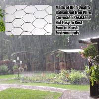 China Powder Coated 6x6 Hex Wire Mesh For Fish Cage for sale