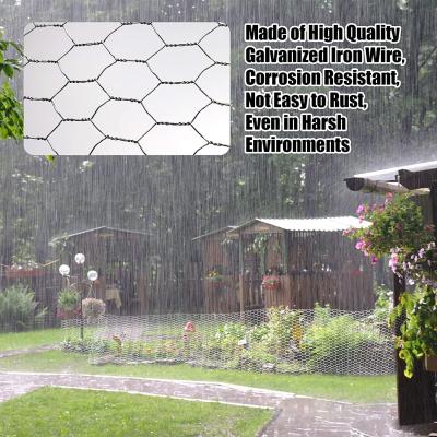 China Powder Coated 6x6 Hex Wire Mesh For Fish Cage for sale