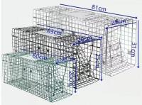 China 2mm Dia Live Cage Traps Galvanized Or Pvc Coated for sale
