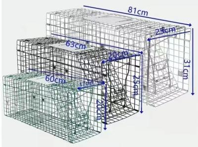 China 2mm Dia Live Cage Traps Galvanized Or Pvc Coated for sale