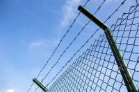 China Black Green Pvc Coated Chain Link Mesh Fencing 14 Gauge Diamond Farm 6ft X 50ft for sale