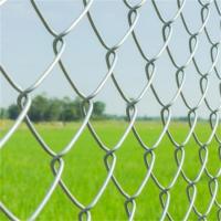 China Cyclone Barbed Wire 40x40mm Chain Link Mesh Fencing 2.8mm Extension Arms Pvc Coated for sale