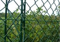 China 20x20 40x40 Galvanized Chain Link Fence Powder Coated for sale