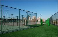 China Waterproof Galvanized Chain Link Fence Fabric Roll Powder Coated for sale