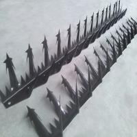China Galvanized AISI430 AISI304 Anti Climb Razor Spikes 64-100mm Length for sale