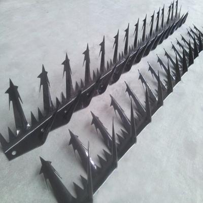 China Galvanized AISI430 AISI304 Anti Climb Razor Spikes 64-100mm Length for sale