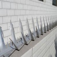 China Galvanized AISI430 AISI304 Anti Climb Razor Spikes 64-100mm Length for sale