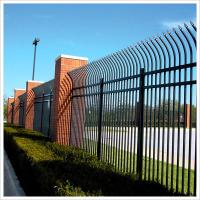 China Black RAL Color  Wrought Iron Garden Fence 2400mmL X 2100mmH for sale