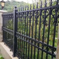 China Black RAL Color  Wrought Iron Garden Fence 2400mmL X 2100mmH for sale