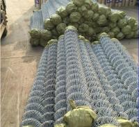 China 100ft Roll Heavy Gauge Galvanized Chain Link Fence Abrasion Resistance for sale