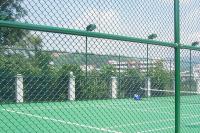 China Length 10-200m 9 Gauge Chain Link Fence Heavy Duty  wear resisting for sale
