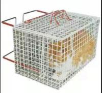 China 2mm wire mesh outdoor metal pvc coated galvanized pet display cage for sale