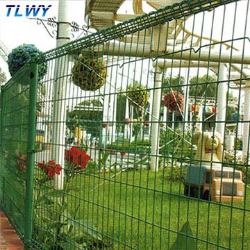 China China Anping TLWY 30 Years Factory Powder Coated Double Wire Safety Fence for sale