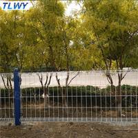 China China Anping TLWY 30 Years Factory Powder Coated Double Wire Safety Fence for sale