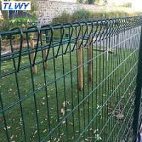 China China Anping TLWY 30 Years Factory Powder Coated Double Wire Safety Fence for sale