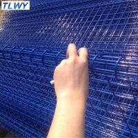 China China Anping TLWY 30 Years Factory Powder Coated Double Wire Safety Fence for sale