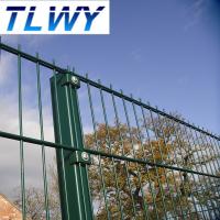 China 6/5/6mm Double Wire Welded Mesh Fence Powder Coated 50*150mm for sale