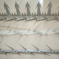 China Iron Wire Home Security Fence Spikes For Walls Anti Climb for sale