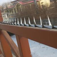 China Iron Wire Home Security Fence Spikes For Walls Anti Climb for sale