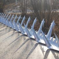 China Iron Wire Home Security Fence Spikes For Walls Anti Climb for sale