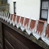 China Anping TLWY Razor Sharp Fence Security Spikes Thickness 2mm for sale