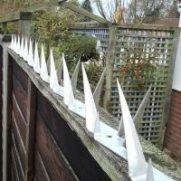 China Length 1.25m Fence Security Spikes Iron Wire Anti Climb Wall Spikes for sale