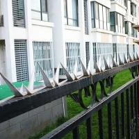 China Iron Wire Wall Razor Spikes For Garden Fence 3*0.2*0.15m for sale