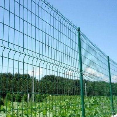 China 3mm 4mm 4.5mm Garden 3D Wire Mesh Fence Panel With Peach Posts for sale