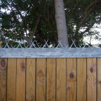 China PVC Coating Barb Length 90mm Wall Security Spikes For Fence Tops 1m 1.25m 1.5m for sale
