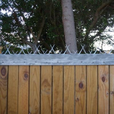 China PVC Coating Barb Length 90mm Wall Security Spikes For Fence Tops 1m 1.25m 1.5m for sale