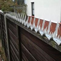 China PVC Coating Barb Length 90mm Wall Security Spikes For Fence Tops 1m 1.25m 1.5m for sale