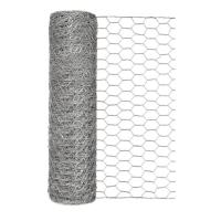 China TLWY Hexagonal Wire Mesh 13mm 16mm Chicken Wire Lowes for sale
