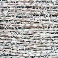 China TLWY Iron Galvanized Razor Barbed Wire Fencing ISO9001 for sale