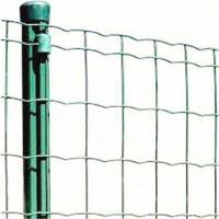 China hot selling product cheaper Holland Welded Wire Mesh Fence /Euro fence for sale