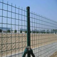 China OD 60mm*1.5mm Green PVC Coated Welded Mesh Holland Mesh Netting for sale