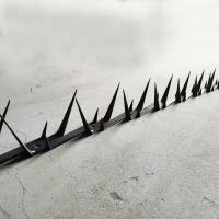 China Single Razor Sharp Block Wall Security Spikes PVC Coated for sale