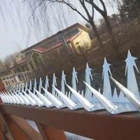 China Stainless Steel 304 Anti Climb Fence Security Spikes Safe House for sale