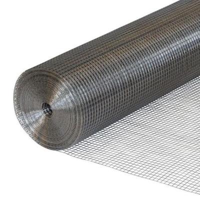 China TLWY 1 Inch Square Galvanized Welded Wire Mesh Rolls  BWG21-14 for sale