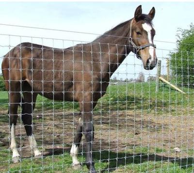 China Anping TLWY 330 Ft Roll Fixed Knot Field Fence PVC Coated for sale