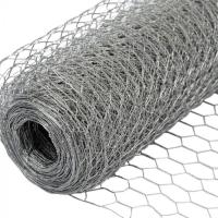 China TLSW Galvanized Hexagonal Wire Netting Chicken Wire Mesh BWG22 for sale