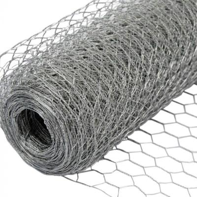 China TLSW Galvanized Hexagonal Wire Netting Chicken Wire Mesh BWG22 for sale