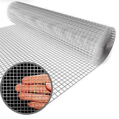 China 1/2 Inch Galvanized Welded PVC Coated Wire Mesh Rolls BWG24-22 for sale