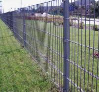 China 200X50mm Welded Mesh Fencing 6/5/6 8/6/8 Double Wire Mesh Fence for sale