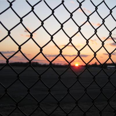 China 6 Foot Chain Link Wire Mesh Fencing Hot Dip Galvanized Pvc Coated for sale