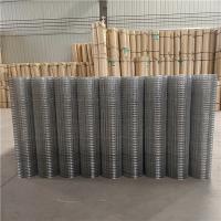 China 16 Gauge Galvanized Welded Wire Mesh Roll 1 X 1/2 Inch For Raising Animals for sale