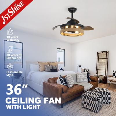 China Rope Cage Hidden Blade Ceiling Fan Light With Remote Control Dc Motor for sale