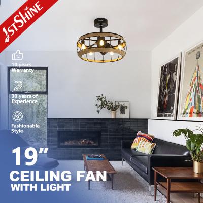 China 19 Inches Farmhouse Caged Bladeless Ceiling Fan With Light for sale
