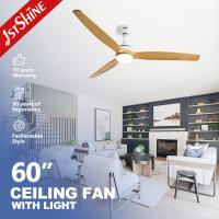 China 1stshine 60